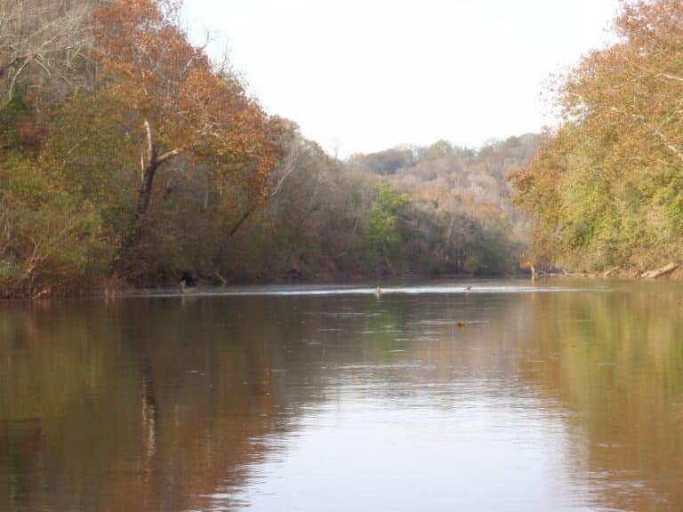 Paddling on the Duck River - Access Points and information